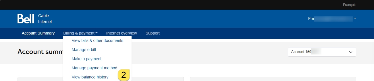 View Account Balance History