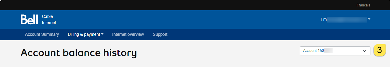View Account Balance History
