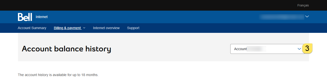 View Account Balance History